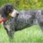 Lausten Hull | MagCloud