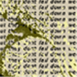 Mahmoud Hackett | MagCloud