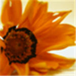 Filtenborg Smidt | MagCloud