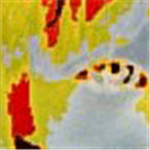 McDonough Gibson | MagCloud