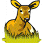 Haahr Goldman | MagCloud