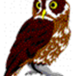 Gilmore Vittrup | MagCloud