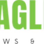 Eagle Windows | MagCloud